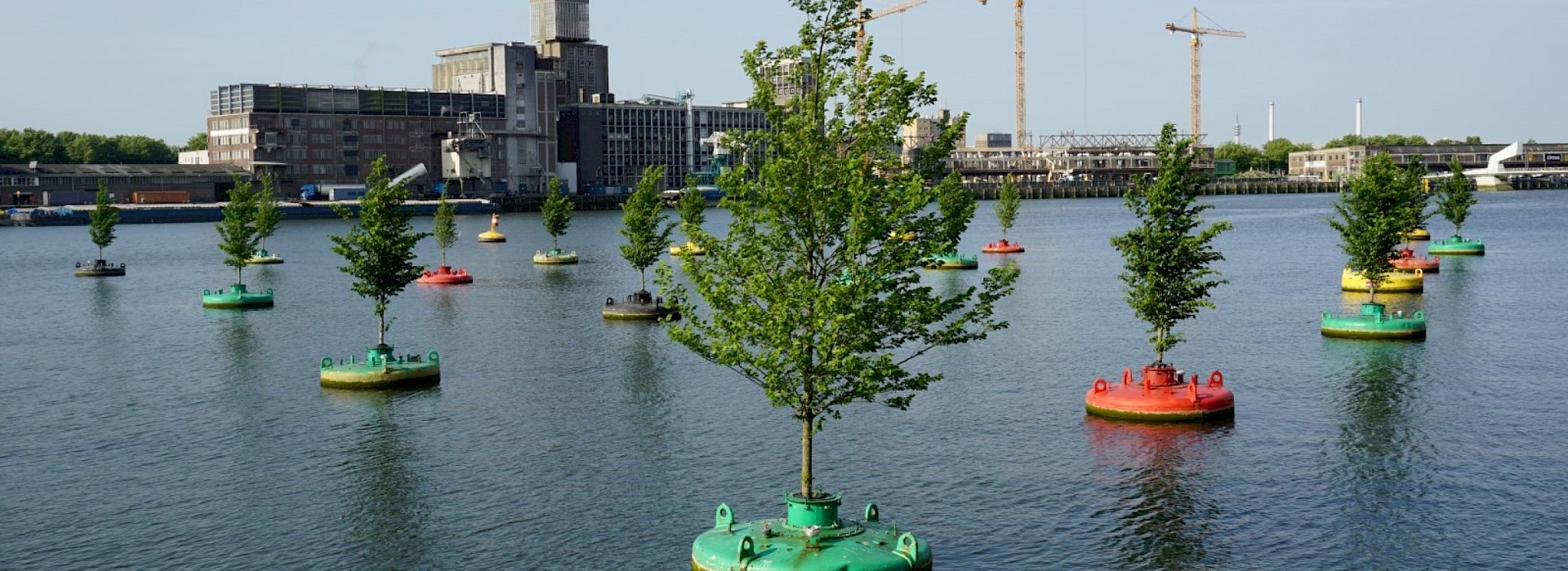 Bobbing Forest - Rotterdam