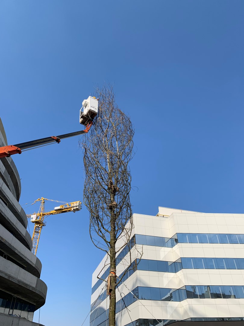 GTC Square - Belgrade