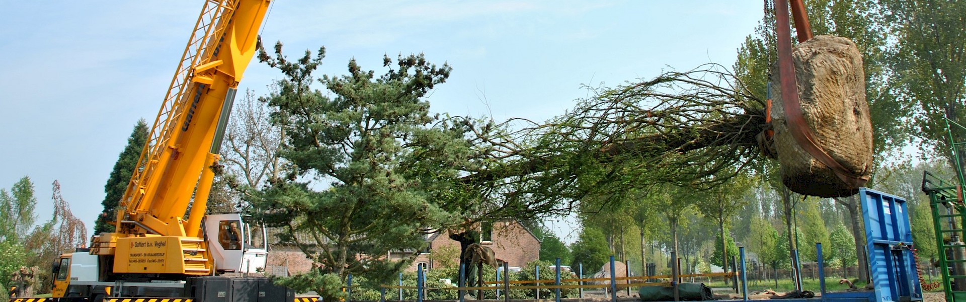 Unloading large trees; read more about the various methods