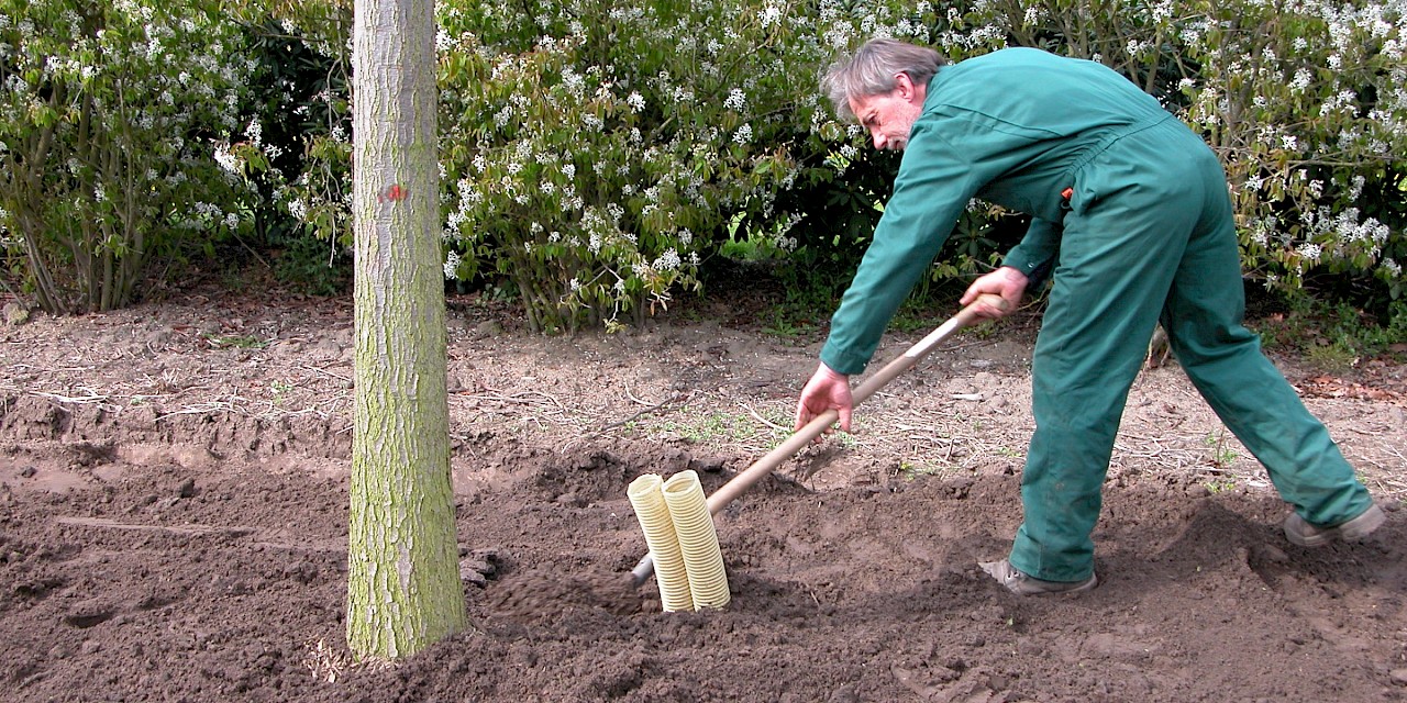 Planting trees - Van den Berk Nurseries