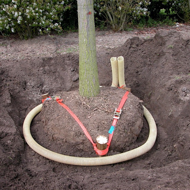 Planting trees - Van den Berk Nurseries