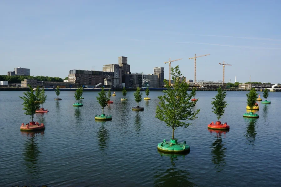 Bobbing Forest - Rotterdam