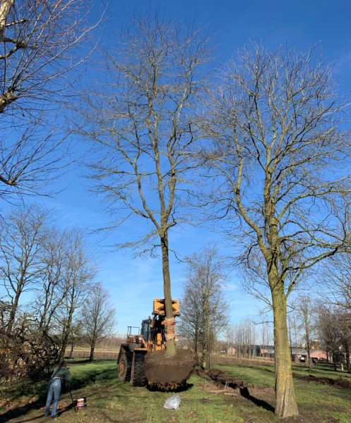 GTC Square - Belgrade